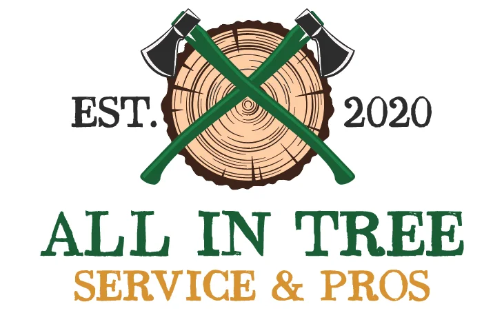 All In Tree Service of Fayetteville Shares Safety Guidance for ...